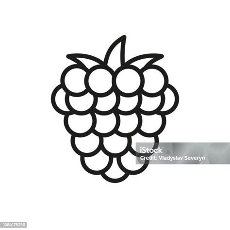 라즈베리 개요 아이콘 건강 식품 과일 상징 기호 흰색 배경에 고립 된 벡터 베리 아이콘 0명에 대한 스톡 벡터 아트 및 기타 이미지 Istock