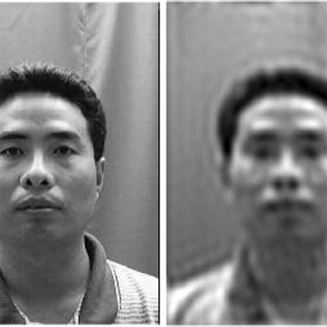 The Original Picture And The Low Frequency Part After Wavelet Transform Download Scientific