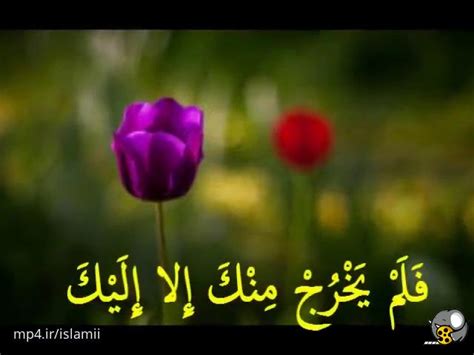 دعای افزایش رزق وروزی فیلو