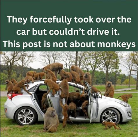 Why Control Matters For Pakistan Leaders Zubala Shehbaz Posted On The Topic Linkedin