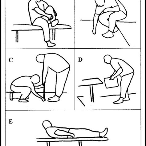 Pdf Back Performance Scale For The Assessment Of Mobility Related Activities In People With