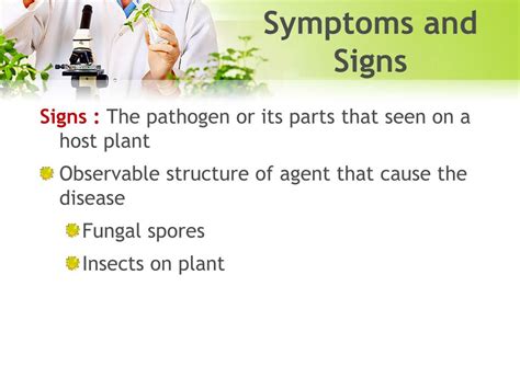 Ppt Diagnosis Of Plant Disease Powerpoint Presentation Free Download Id