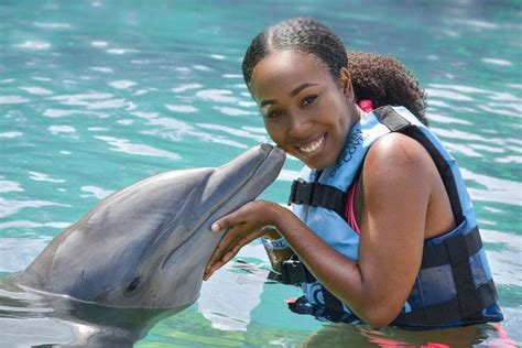 Dolphin Cove Jamaica Tour Reggae Tours