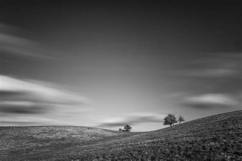 Black And White Pictures Of Nature