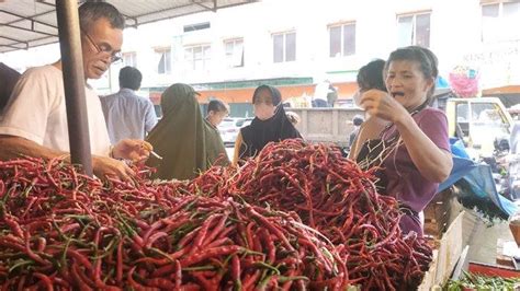 Pedagang Di Kota Jambi Cabai Menjerit Harga Terjun Bebas Sampai Jual Modal Tribunjambi Com