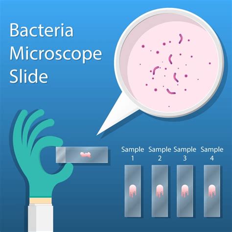 Anatomy Microscope Slide Images Stock Photos D Objects Vectors Shutterstock