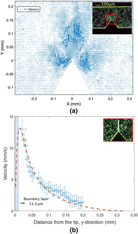 Acoustic Streaming Velocity Field At Download Scientific Diagram