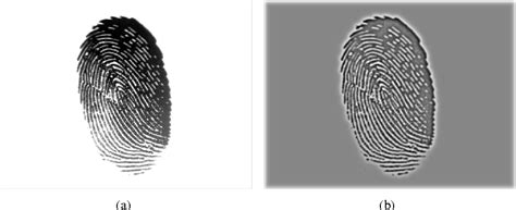 Figure From Towards NFIQ II Lite Self Organizing Maps For Fingerprint Image Quality Assessment