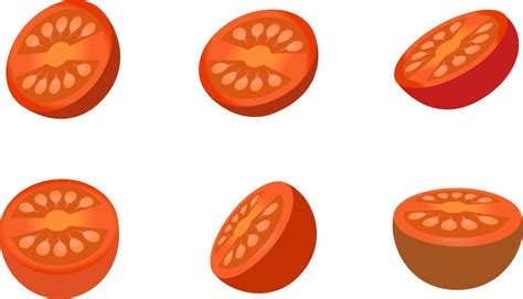 Cut Tomato Vector Art Icons And Graphics For Free Download