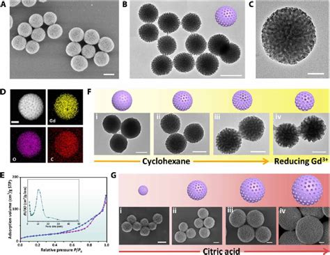 Microstructure Characterization Of The Dm Gdoh X Nanoparticles And Download Scientific