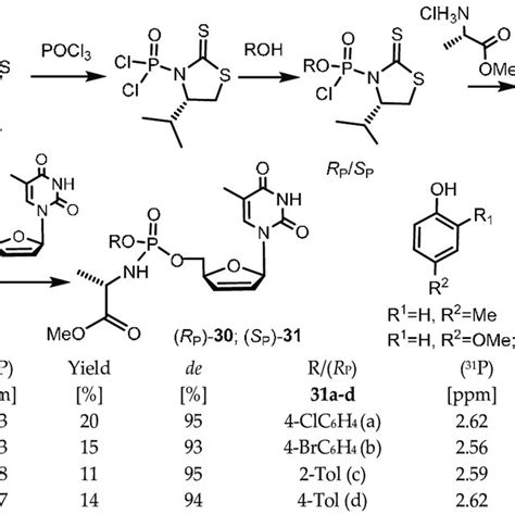 Synthesis Of Phosphorodiamidate Derivatives Rp Or Sp 30 And Rp Or Download Scientific