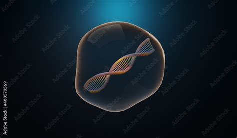 3d Render Helix Complementary Strand Of Dna Of Rna Sequences Genetic Code Or Genome Gene