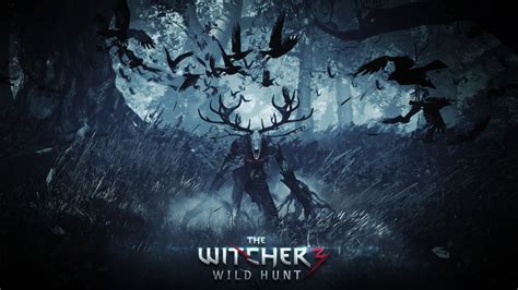 The Witcher 3 Wild Hunt Video Game Wallpaperhd Games Wallpapers4k