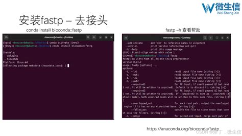 生信入门第二课：rna Seq生信分析环境搭建 Conda及常用软件安装conda新建命名为rnaseq的环境并安装rna Seq分析所需的软件以及r包 Csdn博客