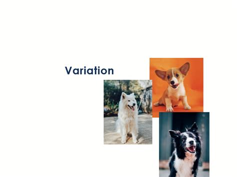 Variation Ks3 Teaching Resources