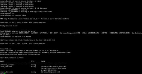 install 11g r2 rac on linux