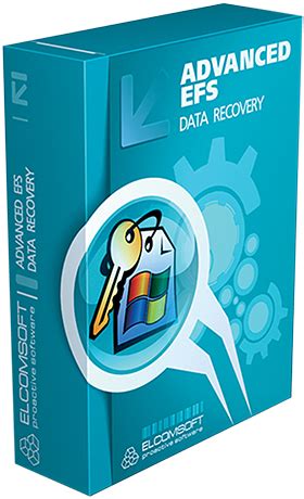 Advanced EFS Data Recovery File Extensions