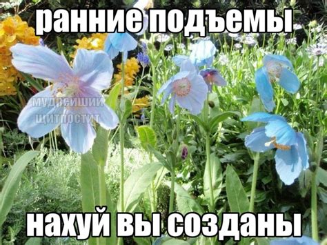 Пин от пользователя Marie на доске Memes😭 в 2024 г Христианские мемы Мемы Милые тексты