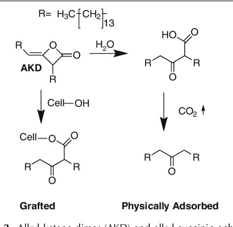 Figure 2 From Bioactive Paper Provides A Low Cost Platform For