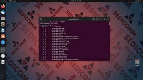 Как завершить процесс в linux — kill pkill killall