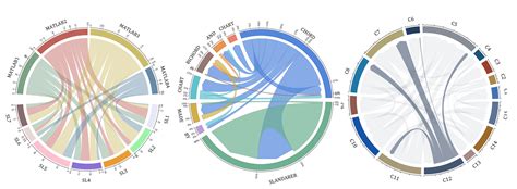 These Pretty Chord Diagrams Were All Made By Matlab