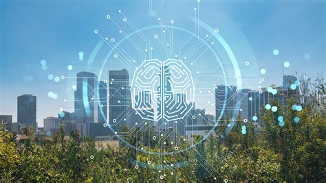 How To Avoid Microplastics 10 Daily Exposure Sources English Saga