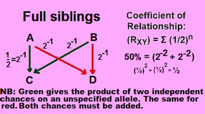 SexualReligion Coefficient Of Relationship C O R
