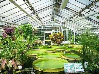 Botanical Garden Wikipedia