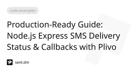 Production Ready Guide Node Js Express Sms Delivery Status And Callbacks With Plivo