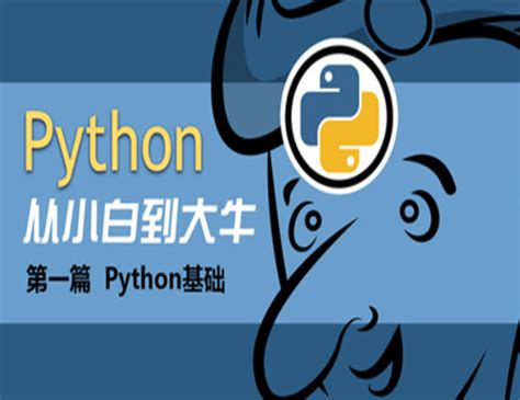 Python基础班13天入门课程，零基础的可以学习学习uuid2 It资源网