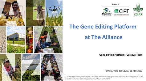 The Gene Editing Platform At The Alliance Cgiar