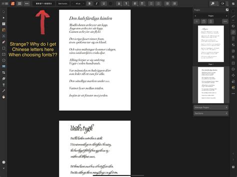 Chinese Letters In The Fonts Menu V2 Bugs Found On Ipad Affinity