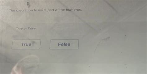 The Olecranon Fossa Is Part Of The Humerus True Or False True False