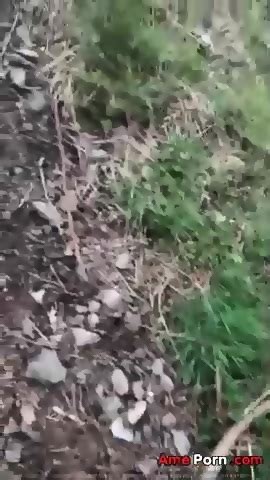 Naked Wood Part