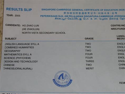 Me Myself And I N Level Results Revealed