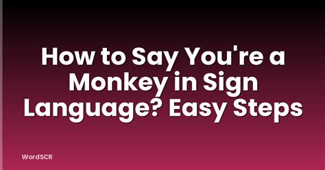 How To Say Youre A Monkey In Sign Language Easy Steps Wordscr