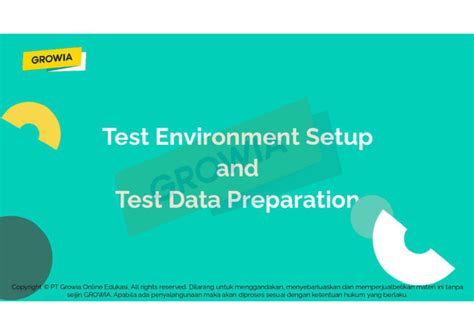 41test Environment Setup And Test Data Preparation 1 Pdf