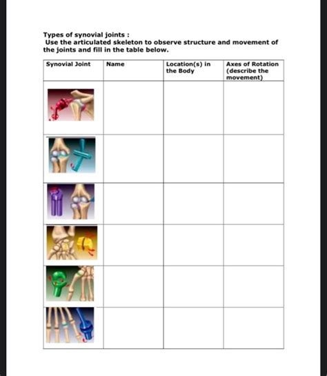 Name The Type Of Joint Name The Type Of Joint Chegg Com