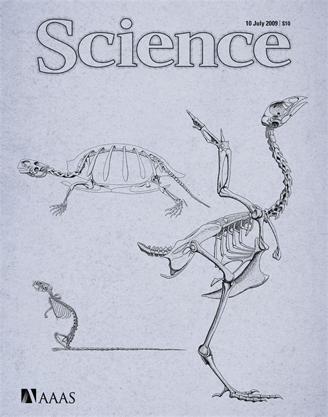 Kaist Brain Repair And Organoid Intelligence