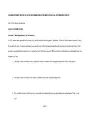 Lab 13 Worksheet Docx LABORATORY MANUAL AND WORKBOOK FOR BIOLOGICAL ANTHROPOLOGY Lab 13