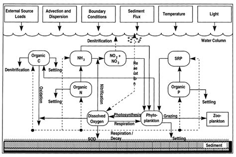 2 Schematic Map Of The Principal Model State Variables And Processes