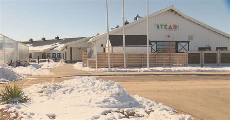 The STEAD School Recognized By Gov Jared Polis CBS Colorado