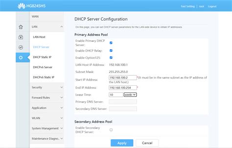 DNS Server Configuration Not Working Super User