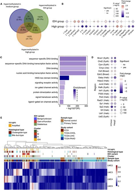 Integrative Analysis Defines Distinct Prognostic Subgroups Of Intrahepatic Cholangiocarcinoma Pmc