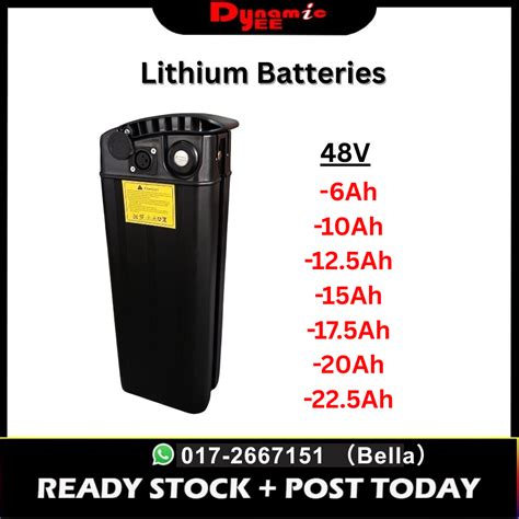 Mic Type 48v Lithium Battery Electric Bicycle Bike303