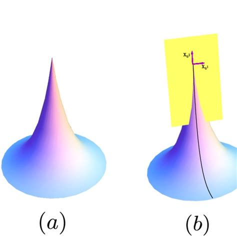 A Non Differentiable Space A A Space With Many Conical Points Download Scientific Diagram