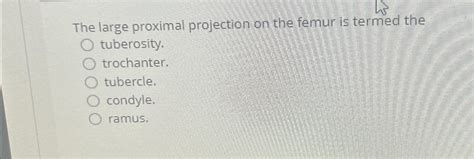 solved the large proximal projection on the femur is termed