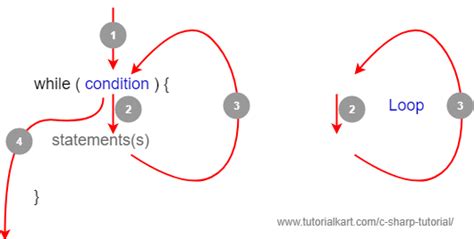C While Loop