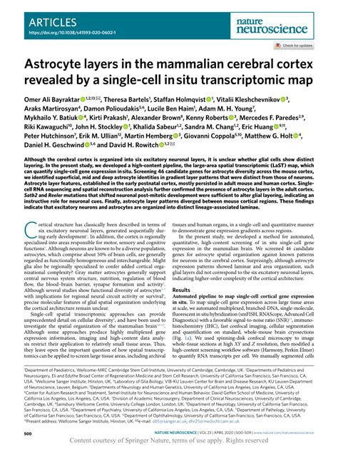 Astrocyte Layers In The Mammalian Cerebral Cortex Revealed By A Single Cell In Situ