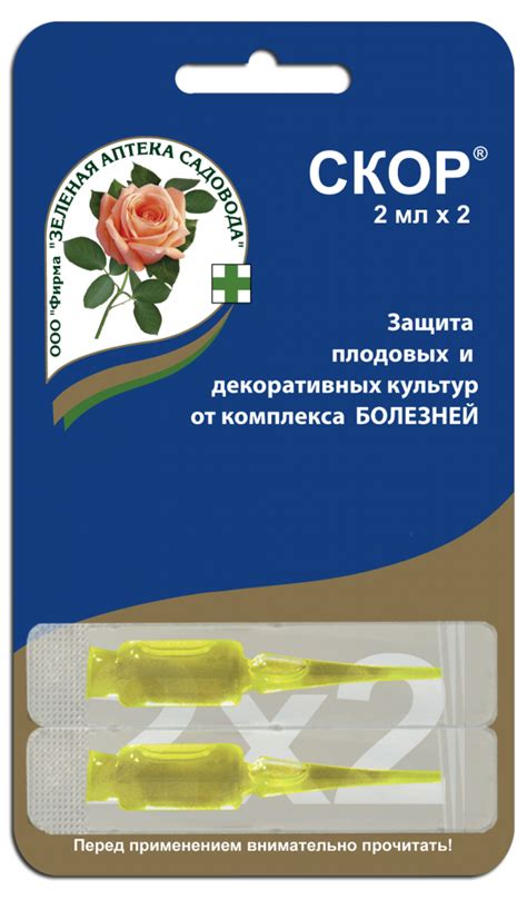 Фунгицид «Скор»: как применять (инструкция), аналоги, отзывы